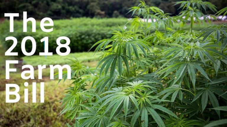2018 Farm Bill - CBD YEN - The Best of CBD Oil | Cannabidiol CBD Based ...