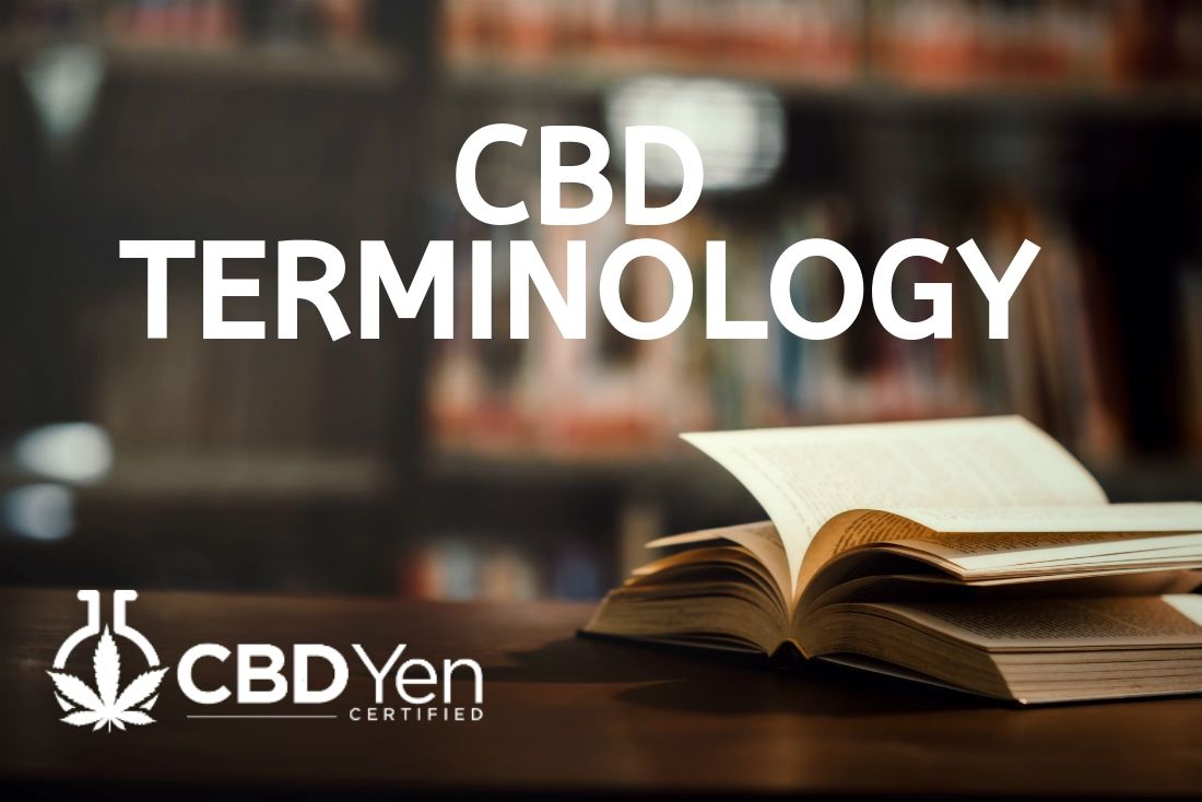 Learn CBD Terminology The Easy Way With The 8 Most Important Terms